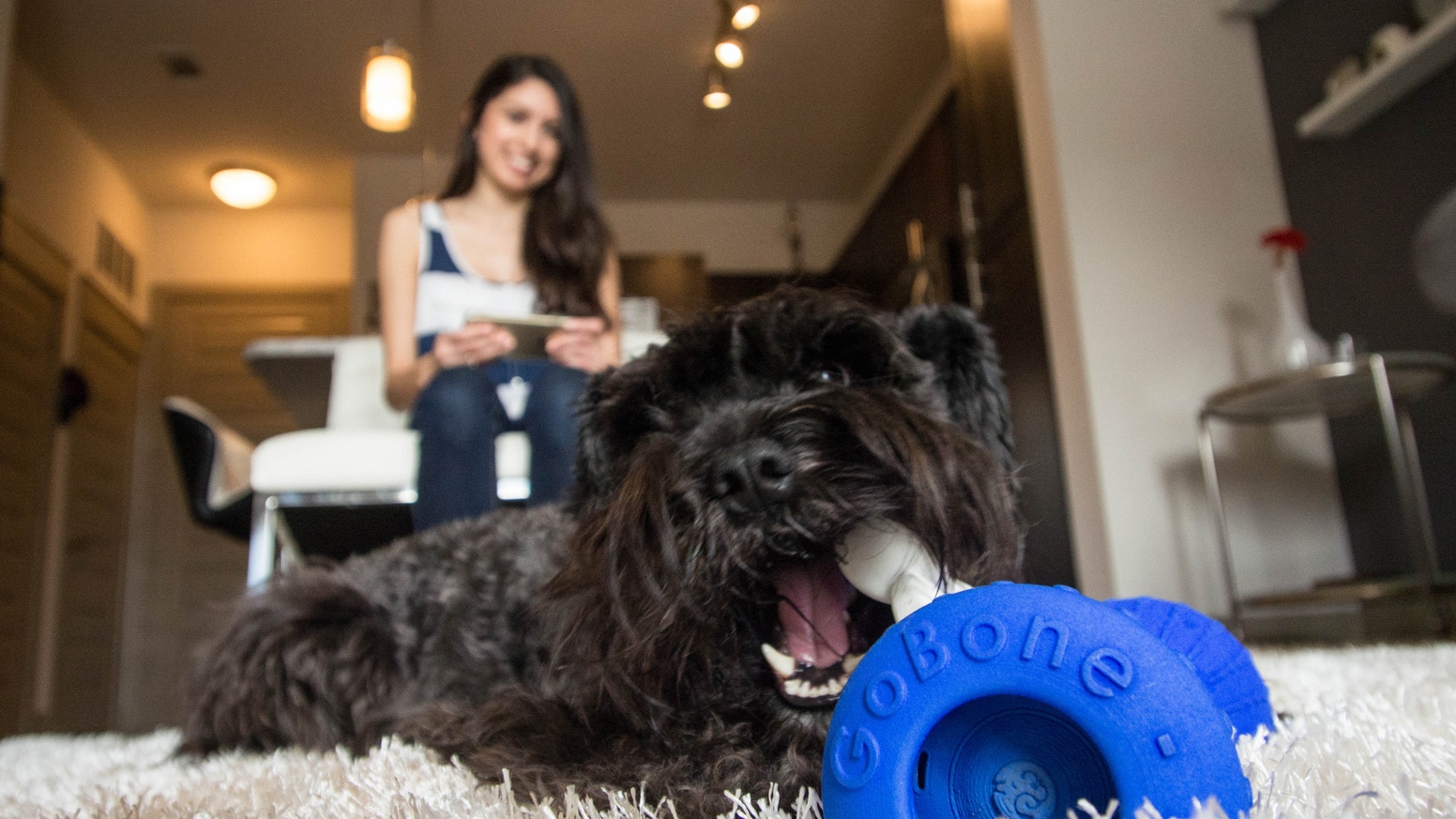 Smart Home for Pets: Transform Your Space Into a Pet Paradise
